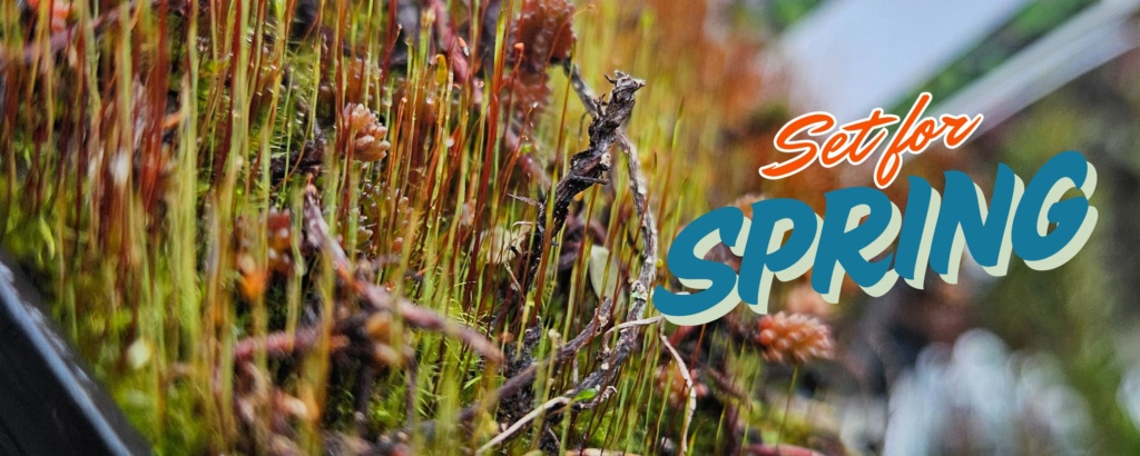 Four tips for a successful spring garden - Falling Water Designs